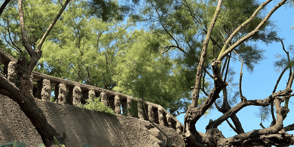 Lubarol | Curated Universe with Fashion, Beauty & Lifestyle.